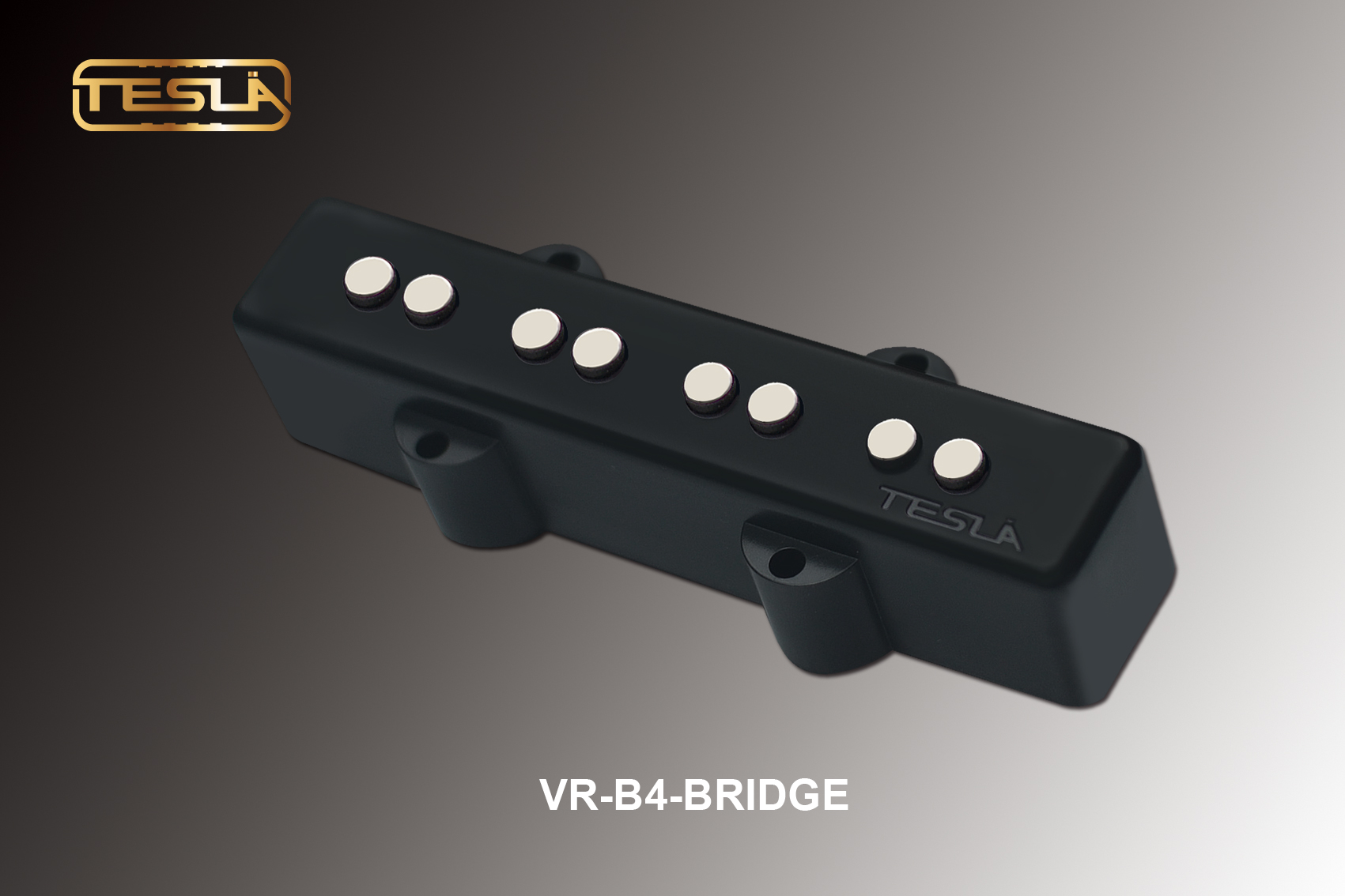 Vr B4 4 String Tesla Pickups